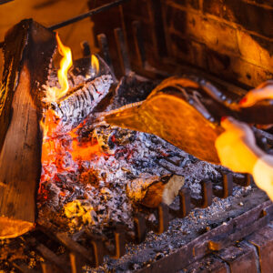 Best And Worst Types of Wood To Burn In Your Fireplace